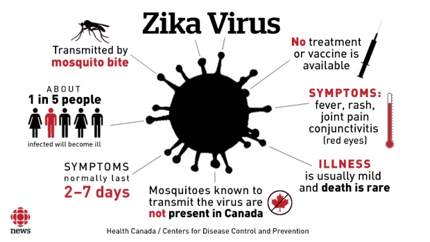 Revisando o Zika vírus (segundo a Sociedade Brasileira de Pediatria ...